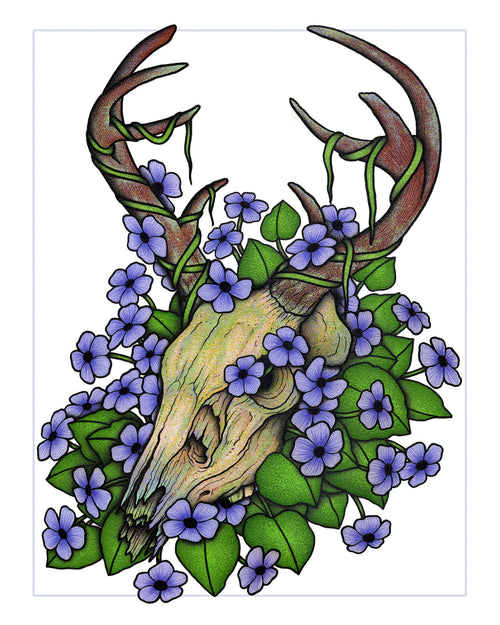 Bones – Allyson Travis Illustrations